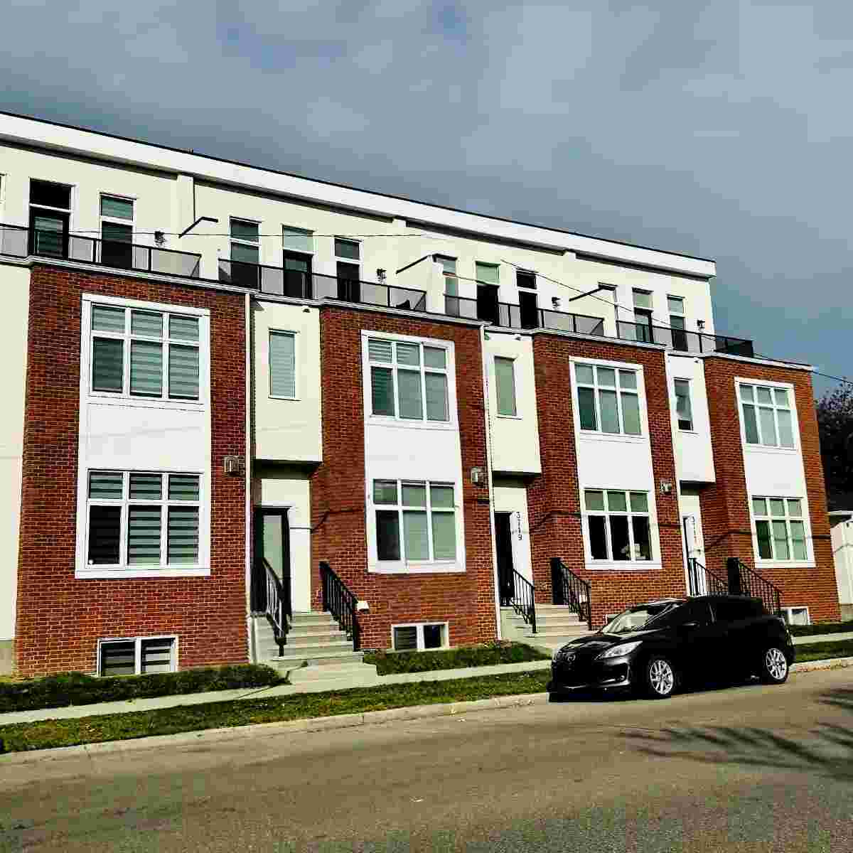 Selkirk Stone Visualizer